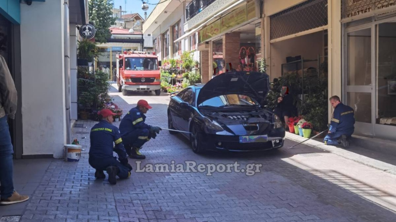 Οδηγός στη Λαμία εντόπισε φίδι στο αυτοκίνητό του – iAnatropi.gr